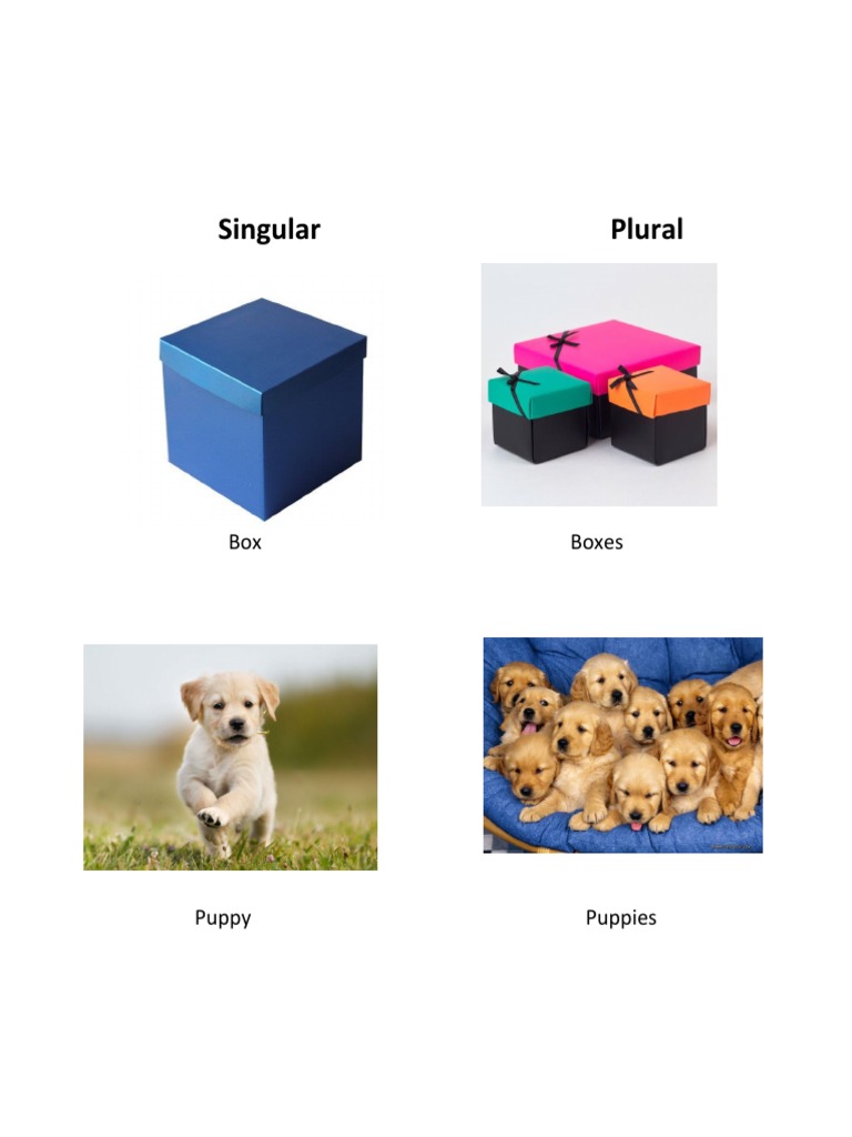 Singular Plural: Box Boxes | PDF