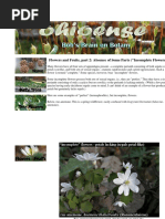 Row 7 Seed Co. Catalog | PDF | Cucurbita | Cucumber