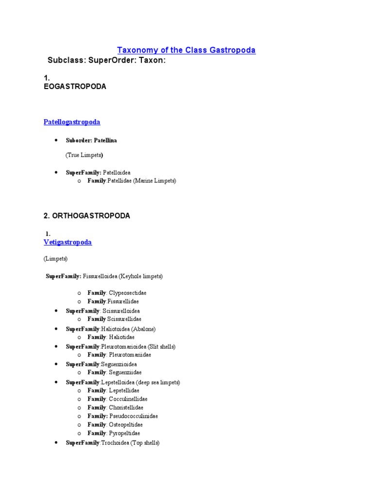 Subclass: Superorder: Taxon:: Taxonomy of The Class Gastropoda | PDF ...