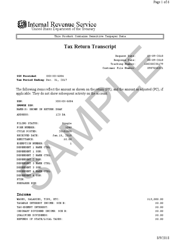 Tax Return Transcript Sample