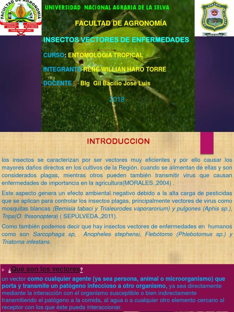 Insectos Vectores de Enfermedades | PDF | Virus | Insectos