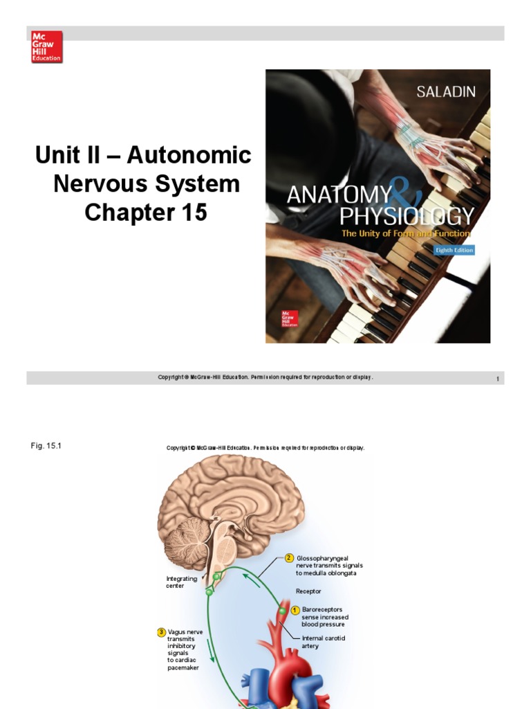 A&P II - Unit II - Power Point | PDF | Autonomic Nervous System ...