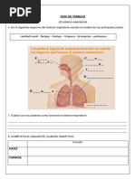 Diferencias Entre Un PCC y PPRO | PDF | Análisis de Riesgo y Puntos ...