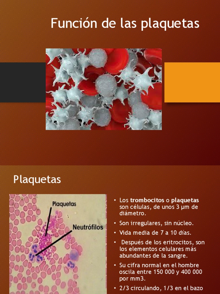 Plaquetas | PDF | Plaqueta | Hemostasia