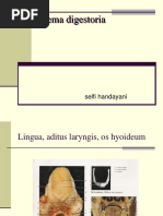 Essae Si 850 Weighing System | PDF