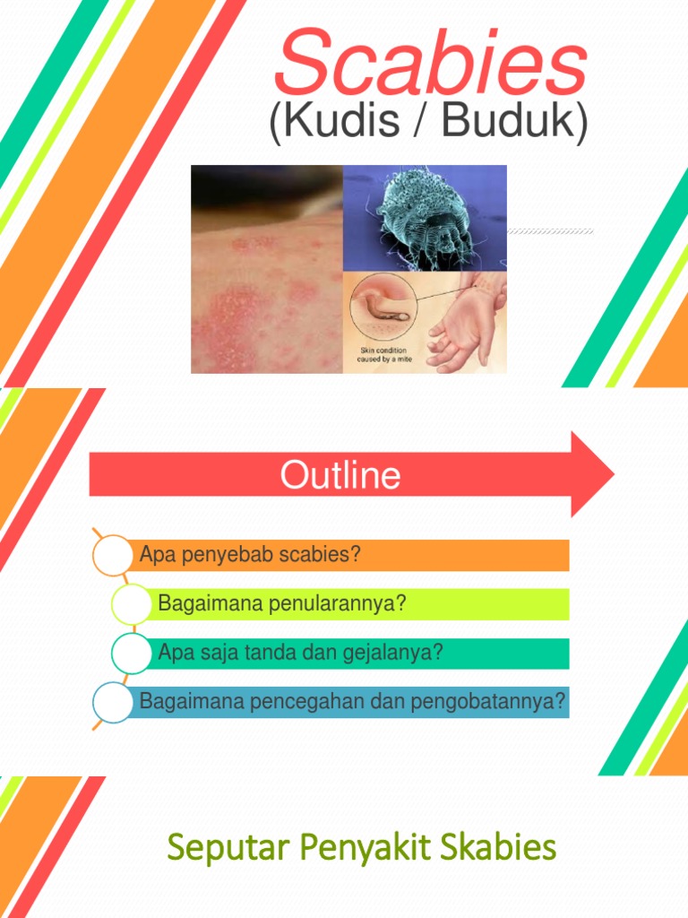 Scabies 101 | PDF