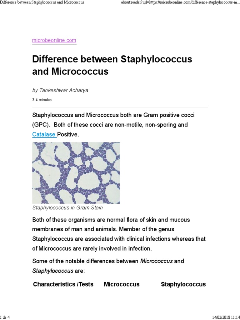 Staphylococcus And Micrococcus Pdf Staphylococcus Microorganism