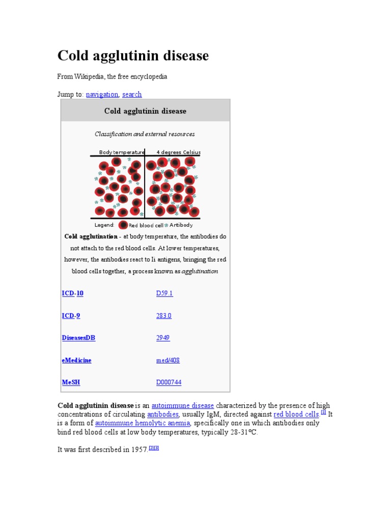 Cold Agglutinin Disease | PDF | Immunology | Immune System