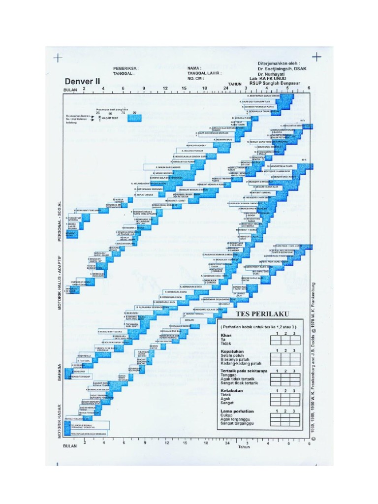 Print Format DDST | PDF