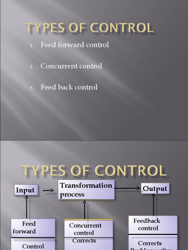 Types of Control in Management Systems | PDF