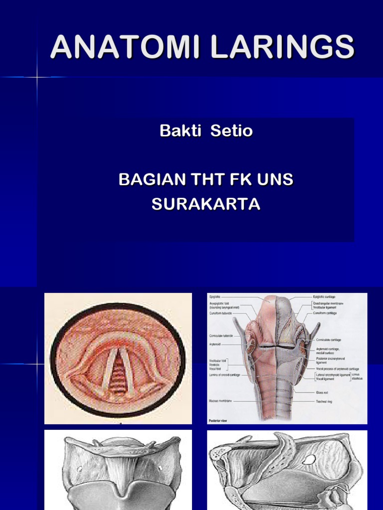 Anatomi Laring BSG