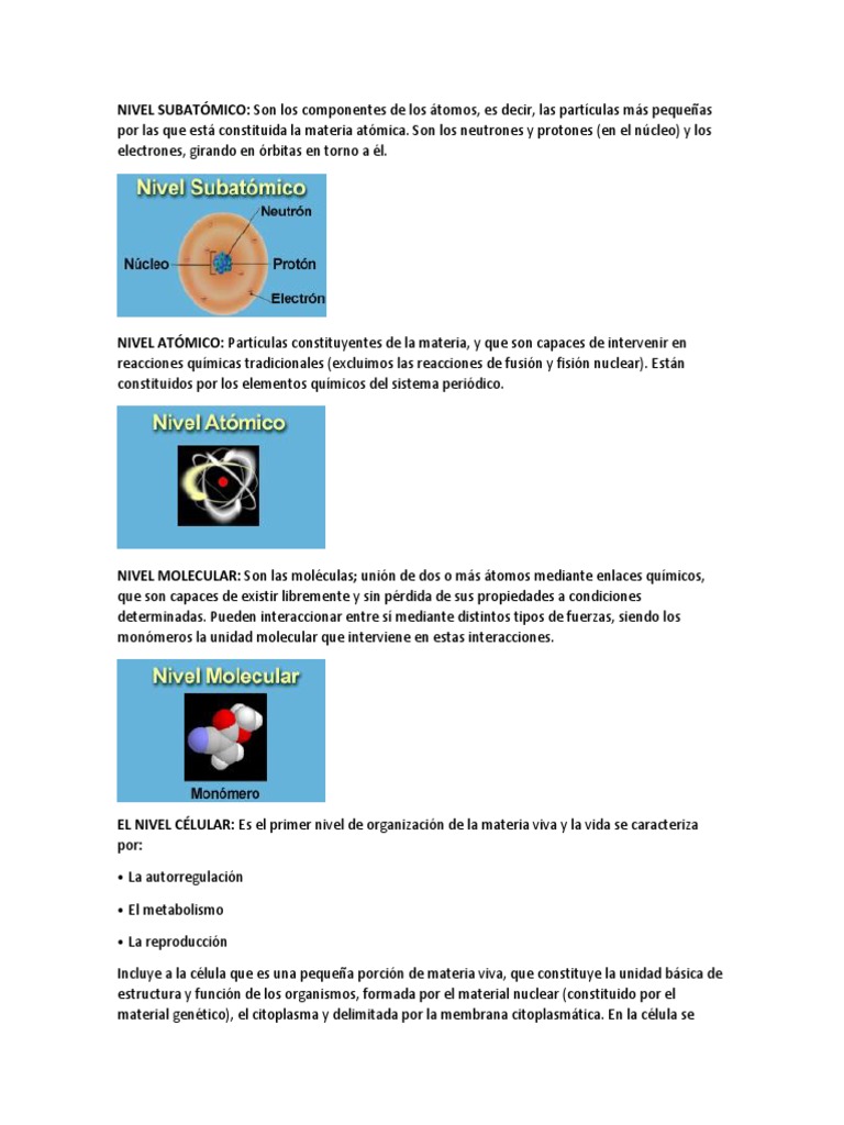 Nivel Subatómico | PDF | Tejido (biología) | Órgano (anatomía)