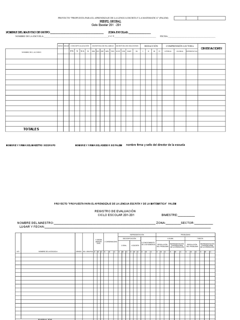 Formatos Palem | PDF