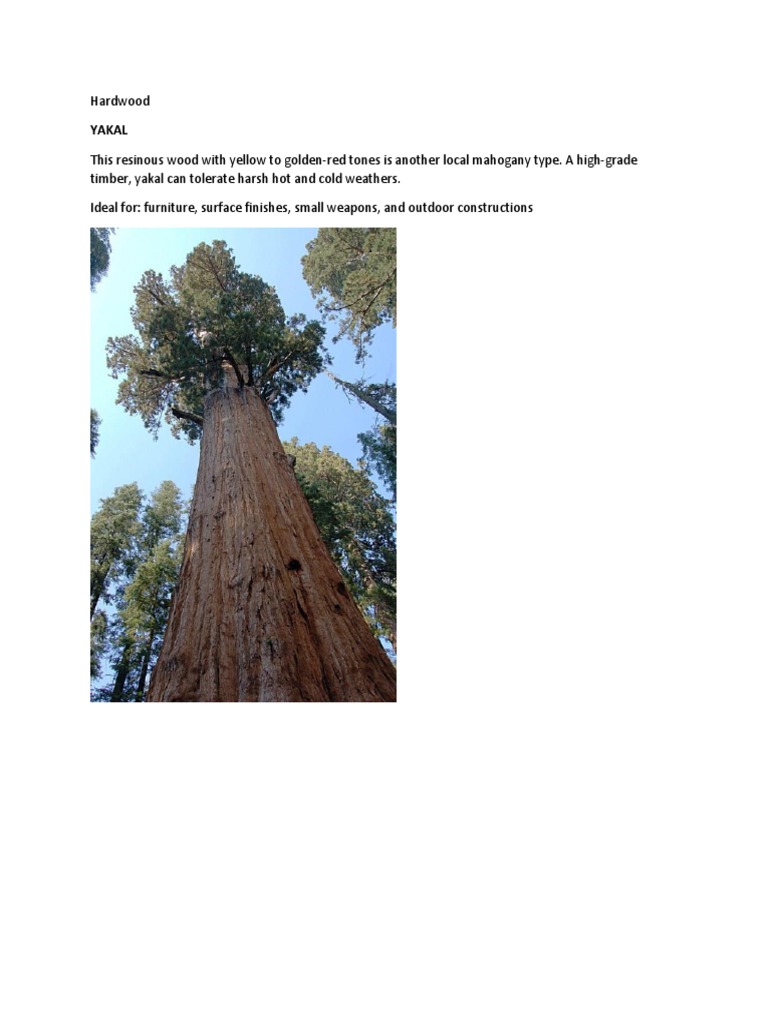 Yakal Wood: Characteristics and Uses | PDF | Home & Garden