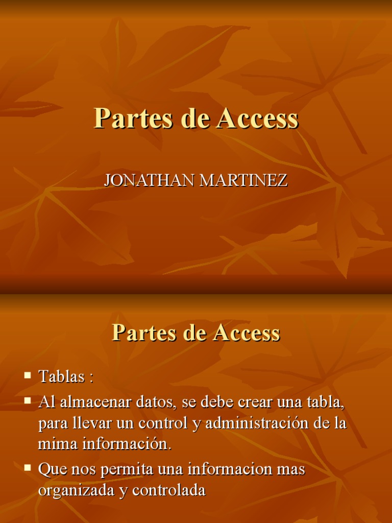 Partes de Access | PDF