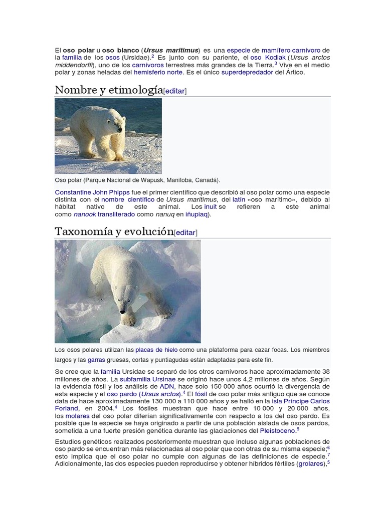 Evolución y taxonomía del oso polar | PDF | Oso polar | Osos