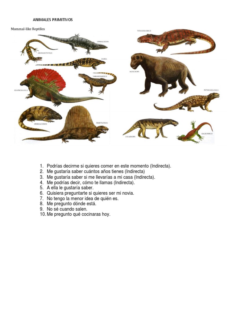 Animales Primitivos