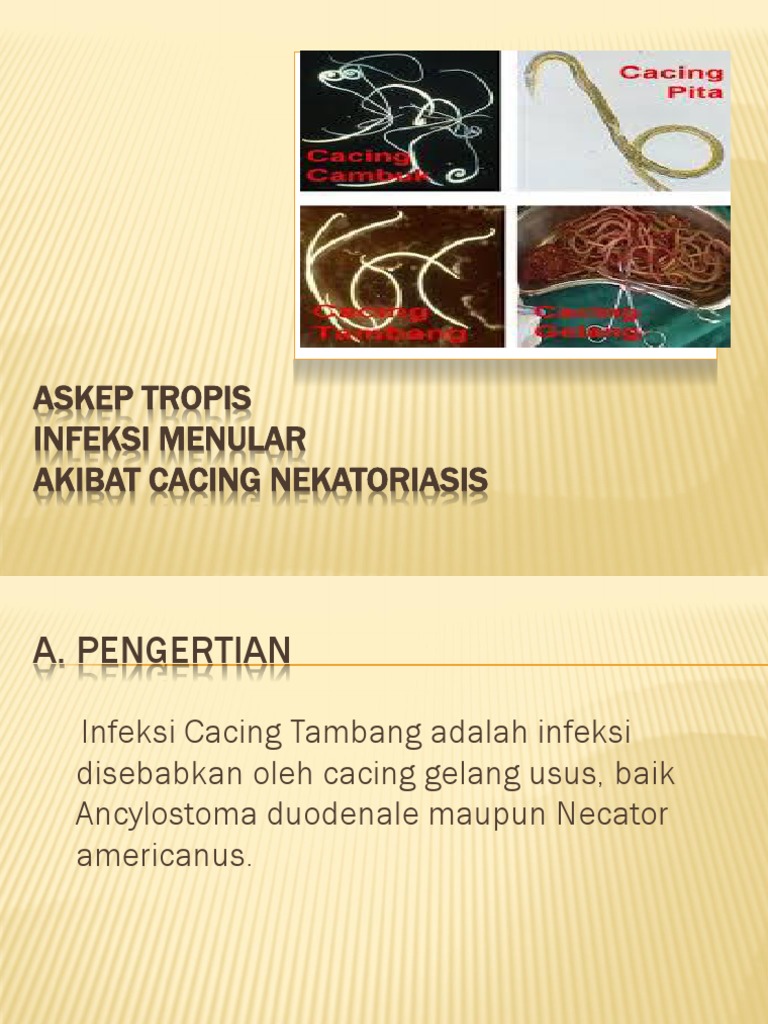 NECATORIASIS | PDF | Pengembangan Diri