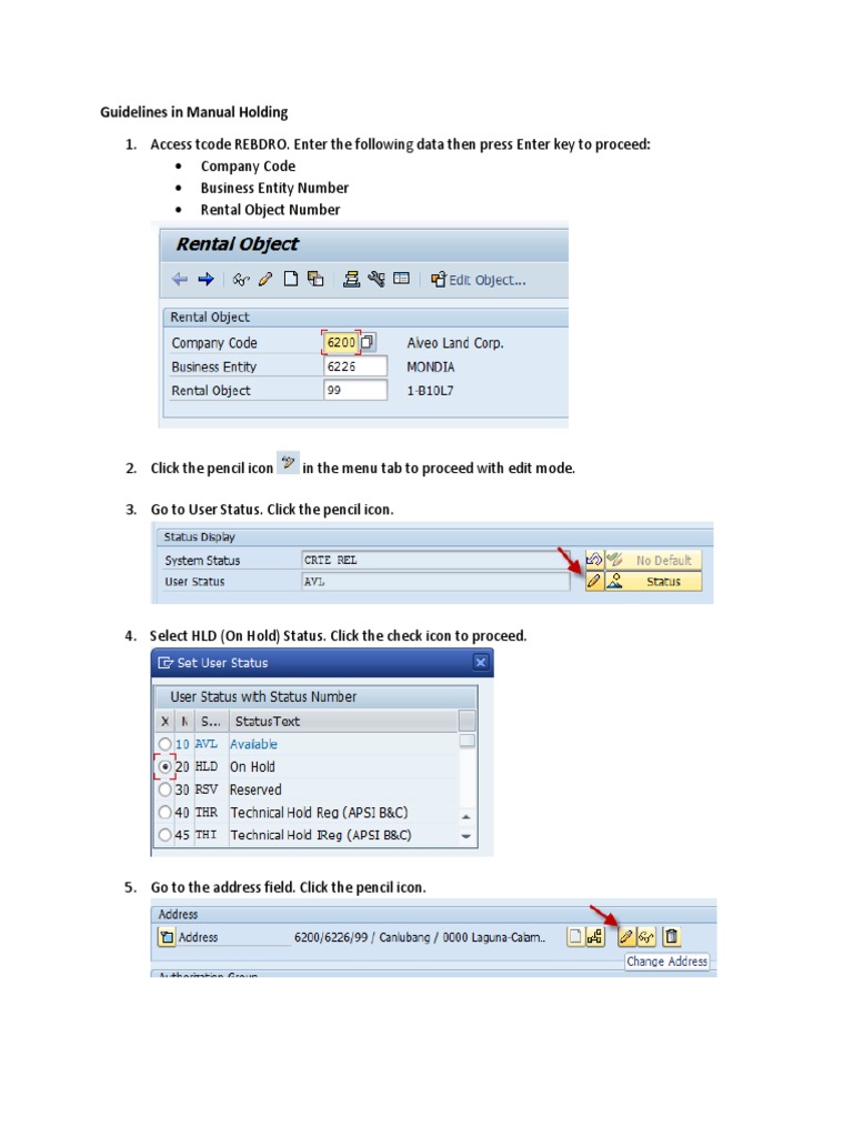 Manual Holding Process Guide | PDF