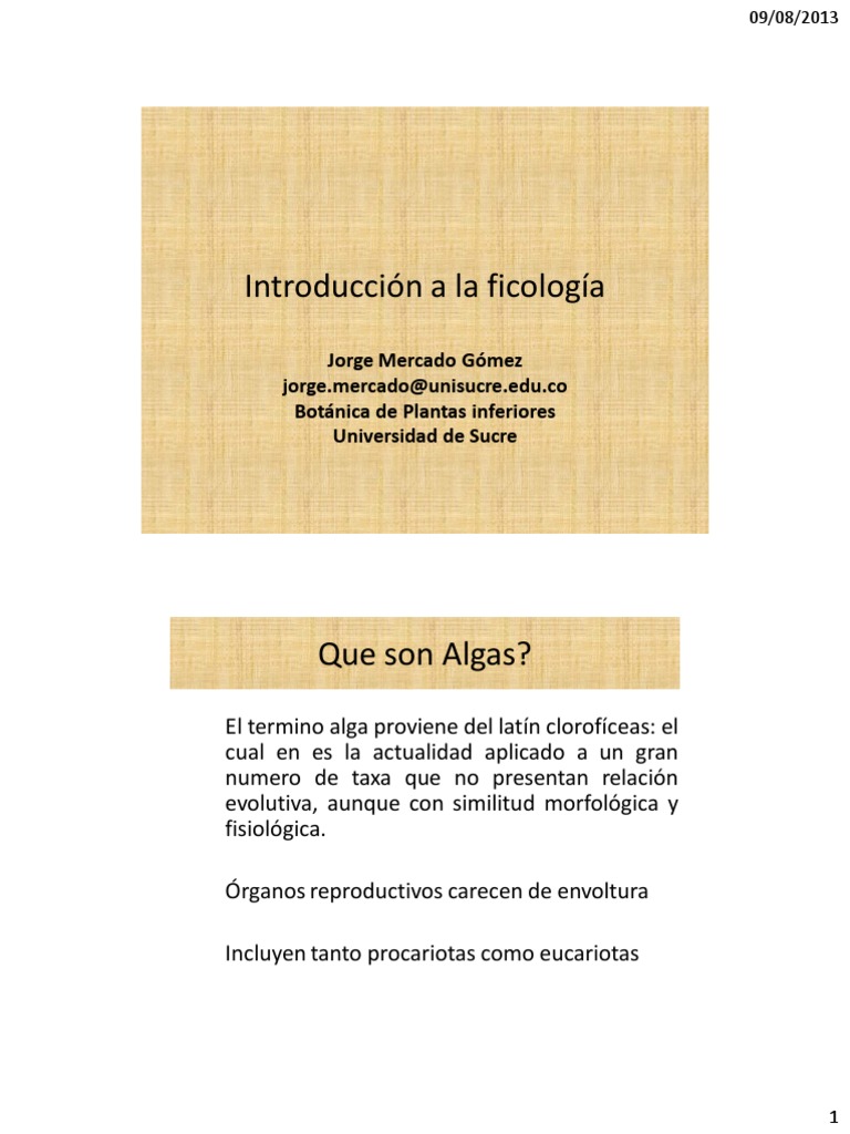 03-Introducción A La Ficología PDF | PDF | Algas | Organismos