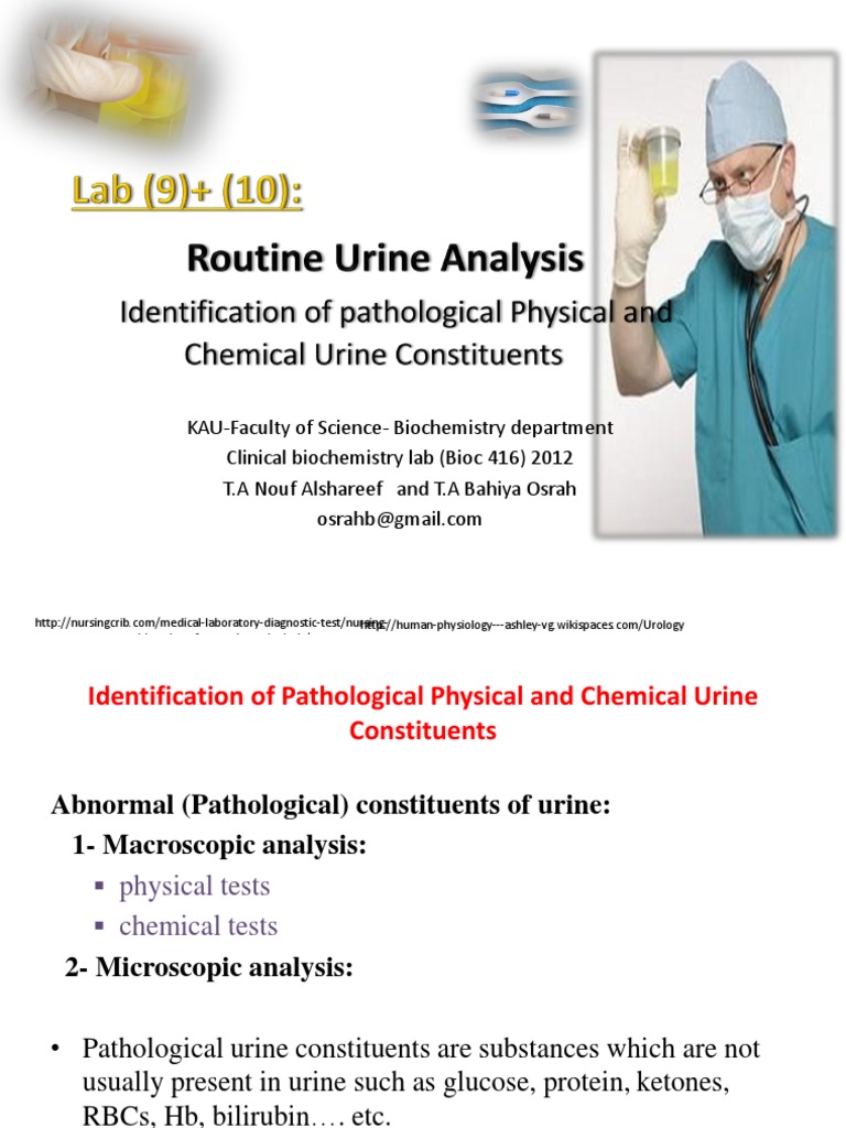Lab_9++10_pathological_urinlysis.pptx | Kidney | Urine