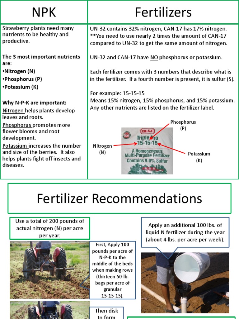 NPK 1 | PDF | Fertilizer | Horticulture And Gardening