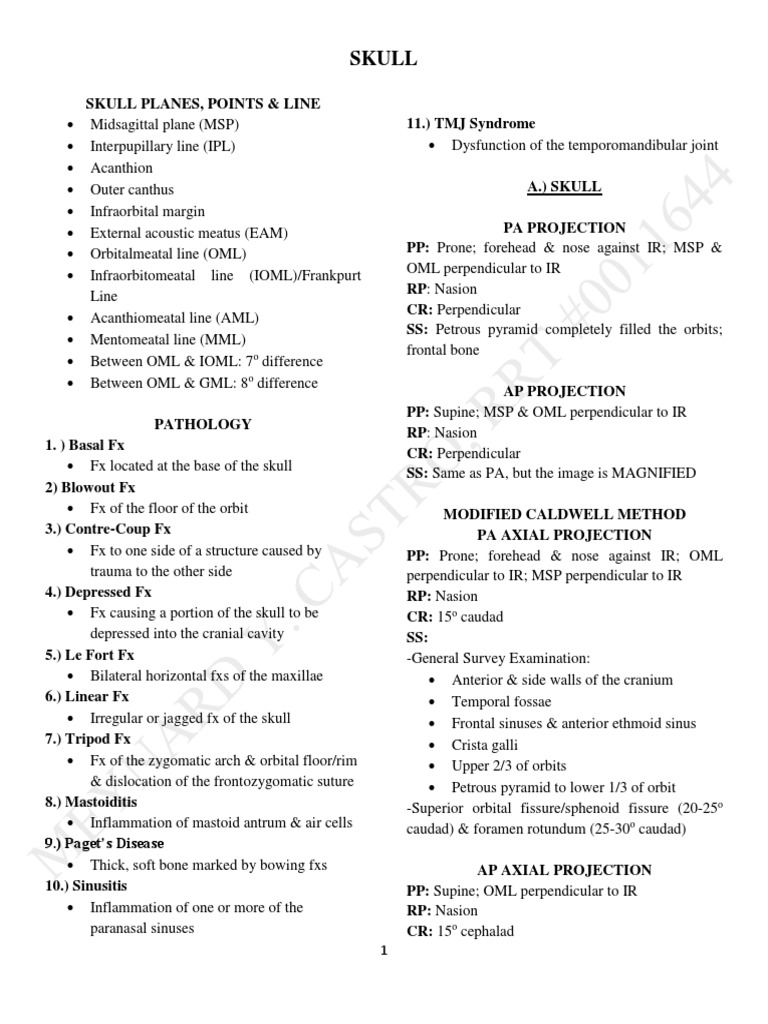 Skull | PDF | Skull | Anatomical Terms Of Location