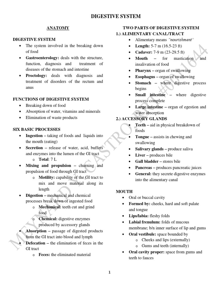 Digestive System (Anatomy) | PDF | Human Digestive System | Stomach