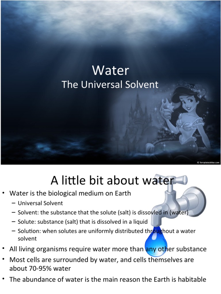 The Universal Solvent: Water | PDF | Solution | Evaporation
