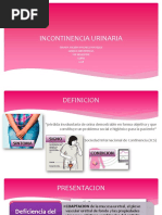 Transtornos de La Estatica Pelvica | PDF | Pelvis | Micción