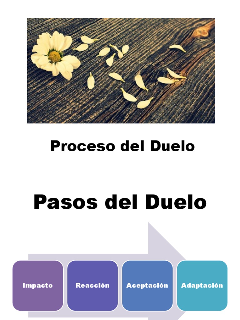 TANATOLOGIA Proceso Del Duelo