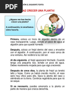 Lecturas Tipo Ece | PDF