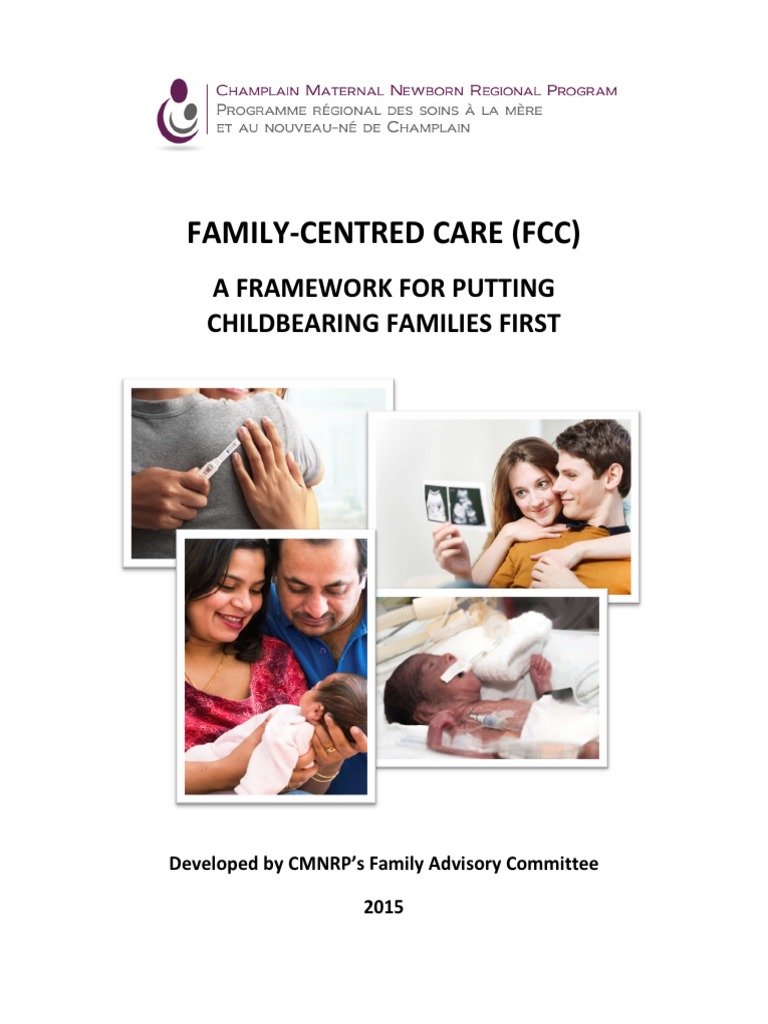FCC Framework FINAL | PDF | Health Professional | Health Care