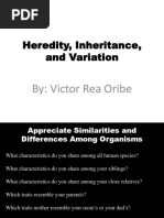 Grade 11 Evolution Study Notes | PDF | Natural Selection | Evolution