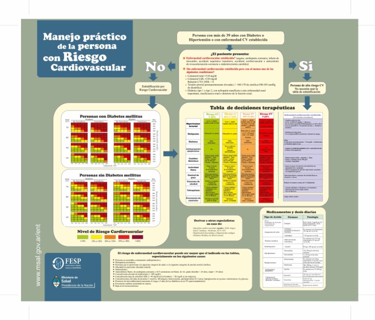 Manejo Práctico de La Persona Con Riesgo Cardiovascular | PDF