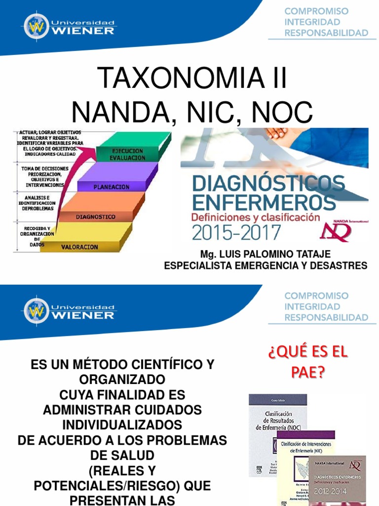 PAE Taxonomía NANDA NOC | PDF | Enfermería | Ciencias de la Salud