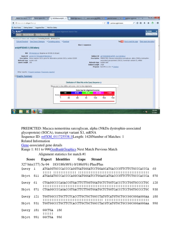 Tabel Proker Div Diklat 2016 | PDF