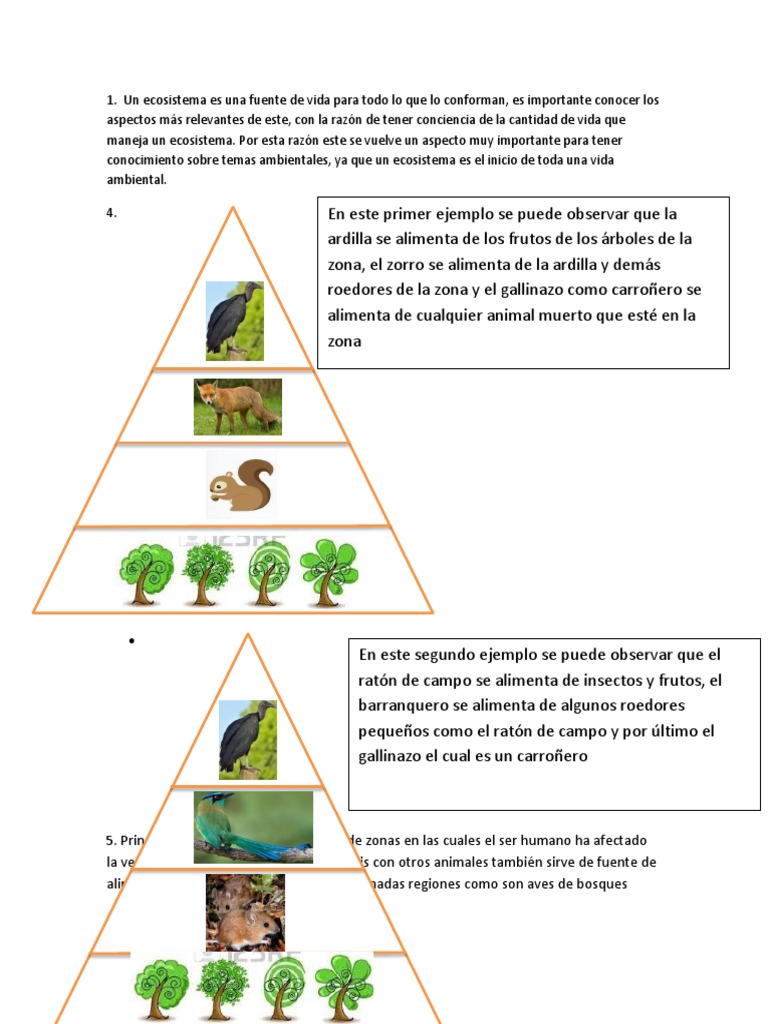 Format Oapa General | PDF | Ecosistema | Roedor