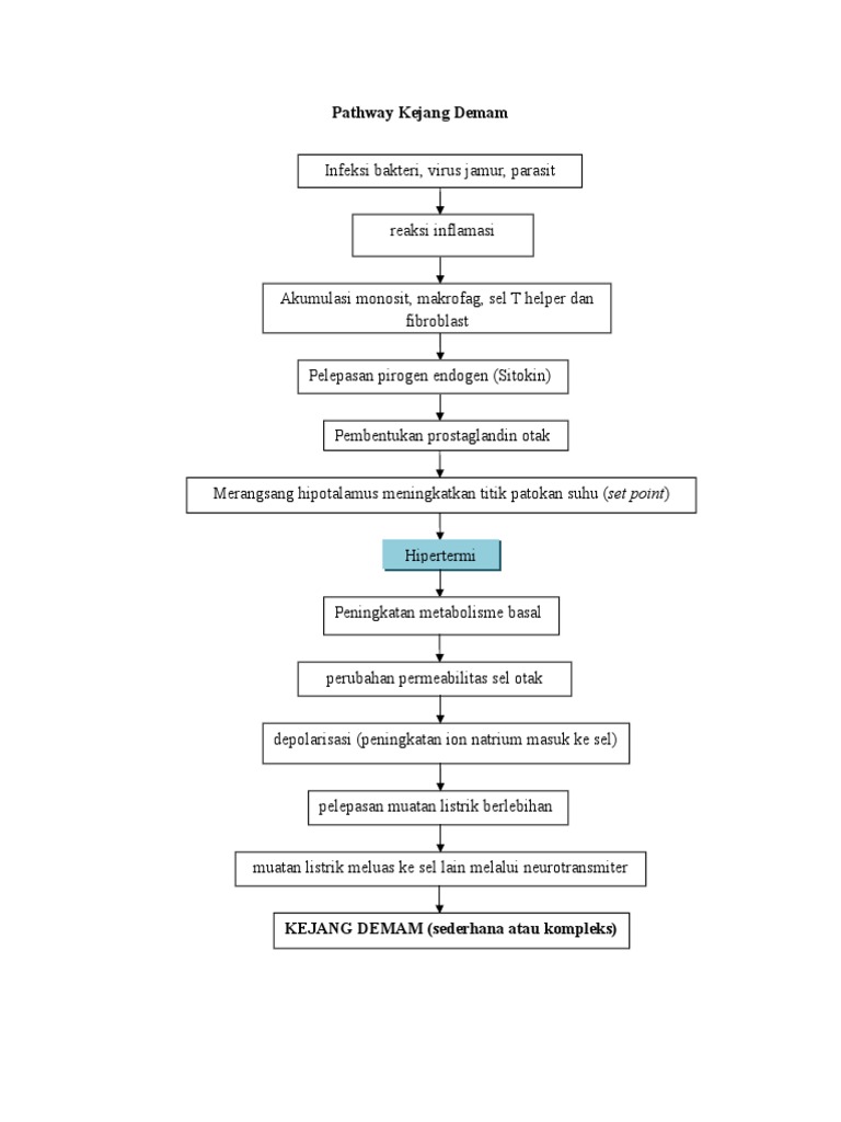 Pathway Kejang Demam Fix | PDF