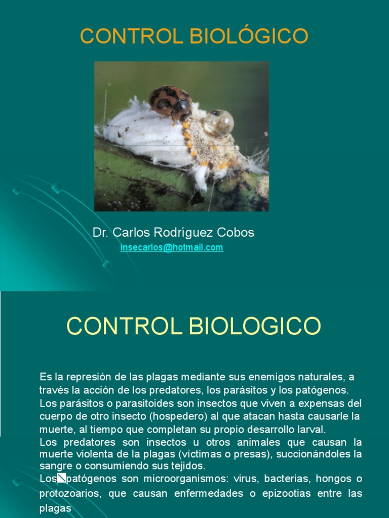 6. Control Biologico (1) | Insectos beneficiosos | Insectos y humanos