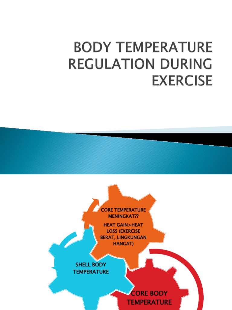 Body Temperature Regulation During Exercise | PDF