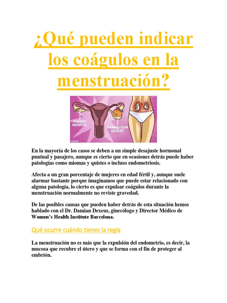 Qué Pueden Indicar Los Coágulos en La Menstruación | PDF | Menstruación ...