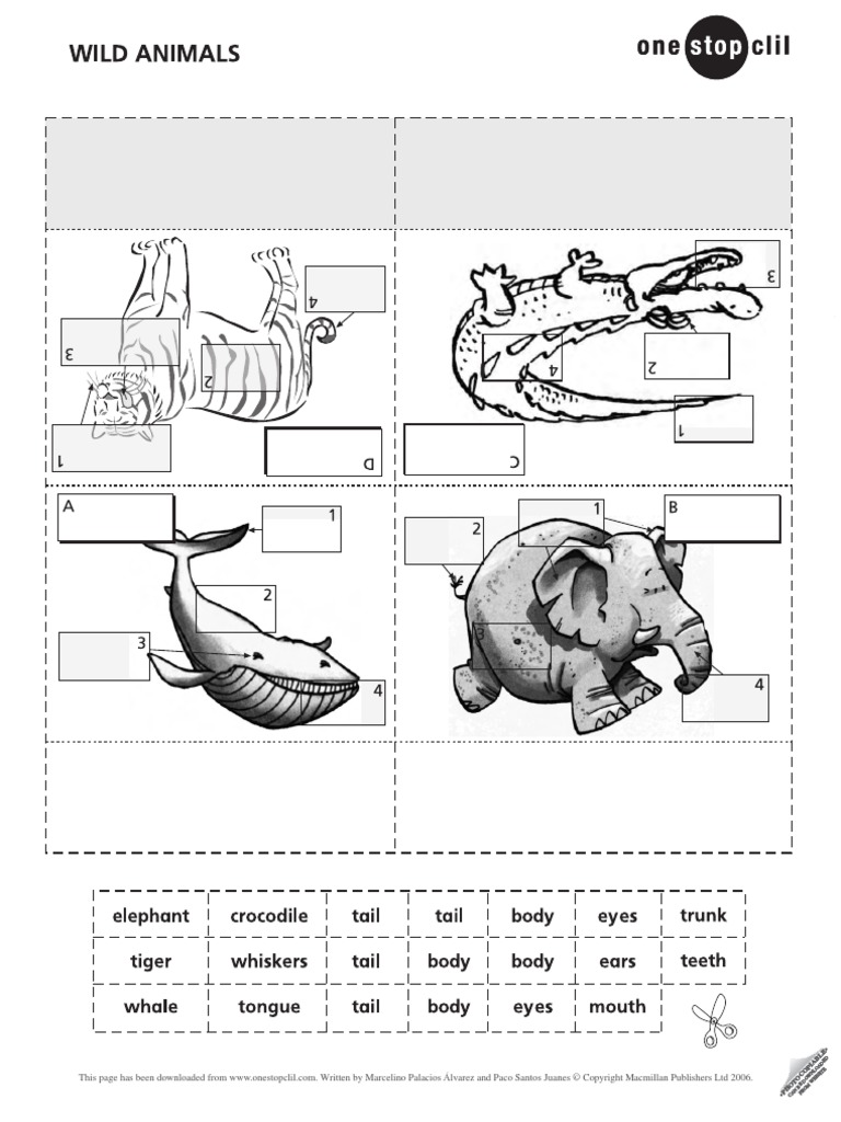 CLIL - Arts and Crafts - Wild Animals PDF | PDF