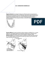 Ángulo de Bennett | PDF