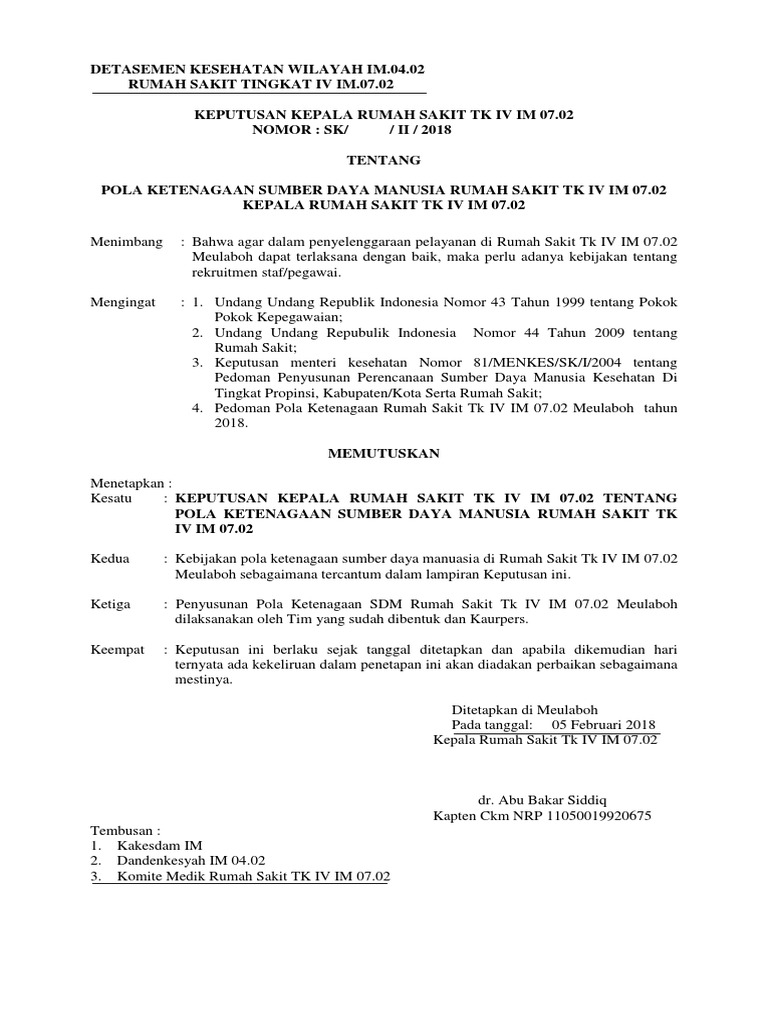 SK Pola Ketenagaan | PDF