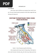 Anatomi Dan Fisiologi Organ Reproduksi Ayam | PDF