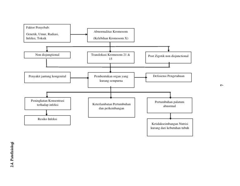 Patofis Syndrome Down | PDF