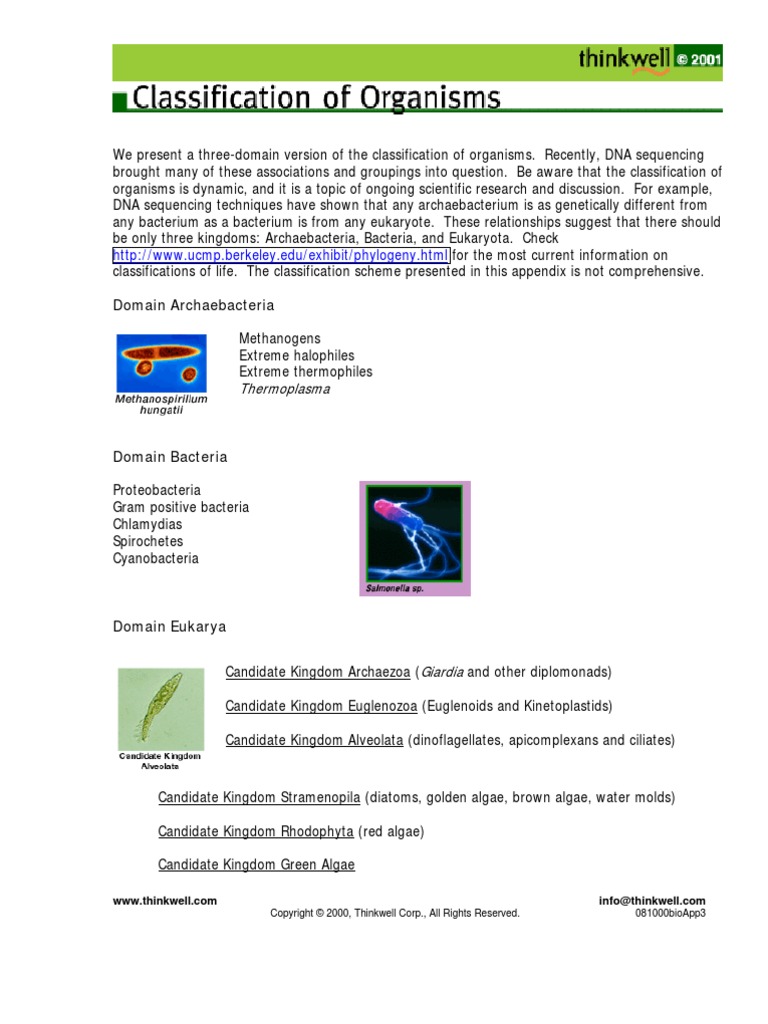 Classification of Organisms | PDF | Living Fossils | Organisms