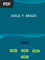 Niveles Axilares de Berg | PDF