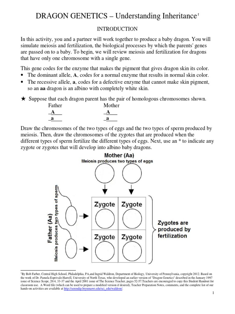 DragonGenetics2Protocol PDF | PDF | Ploidy | Phenotypic Trait